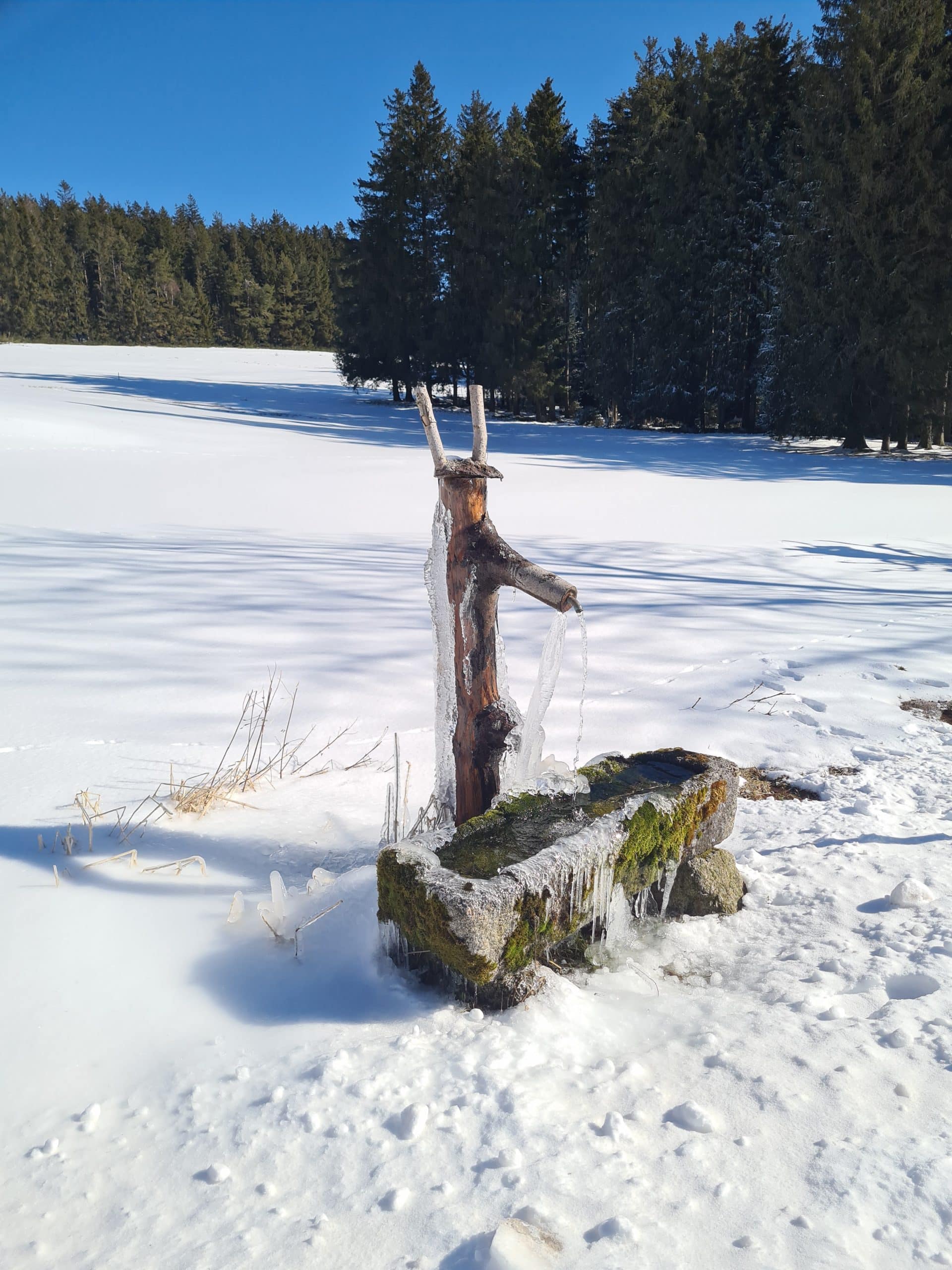 Stöcklewaldturm bei Furtwangen – Wandern, Aussicht & Vesper