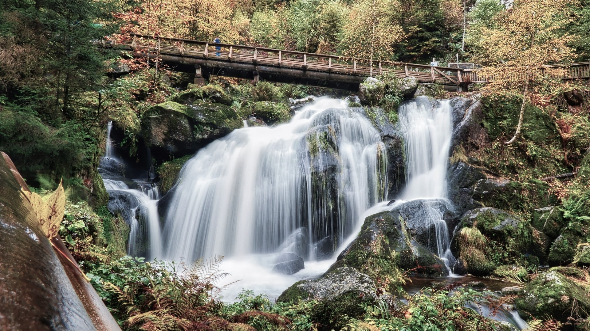 Triberger Wasserfälle – Naturwunder im Schwarzwald